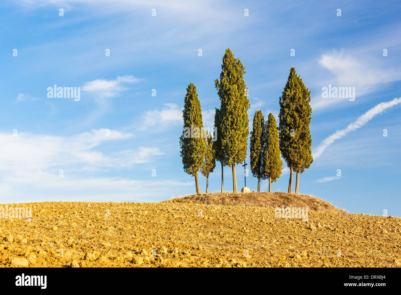 Golden tuscan landscape hi-res stock photography and images - Alamy