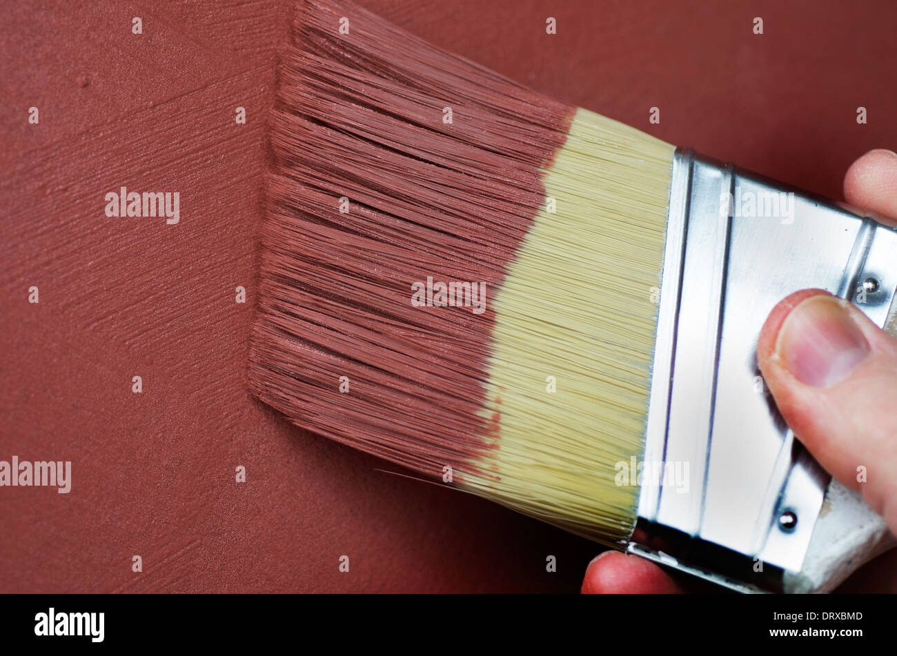 Red paint being applied with a paintbrush on a wall Stock Photo - Alamy