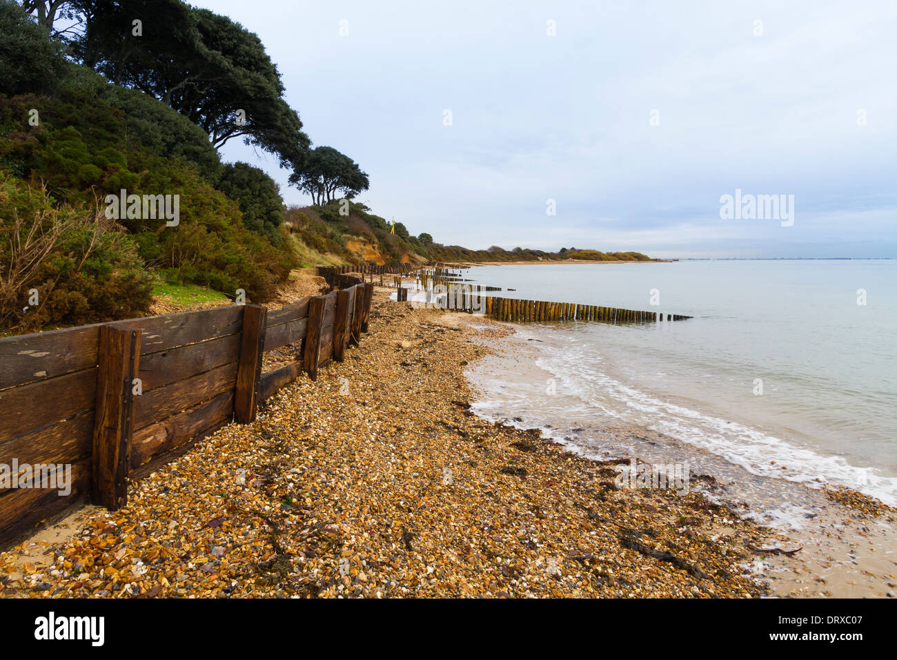 Sand, pebbles and groynes at Lepe Beach Stock Photo - Alamy