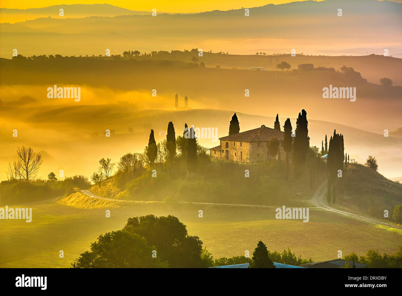 Toscana olive hi-res stock photography and images - Alamy