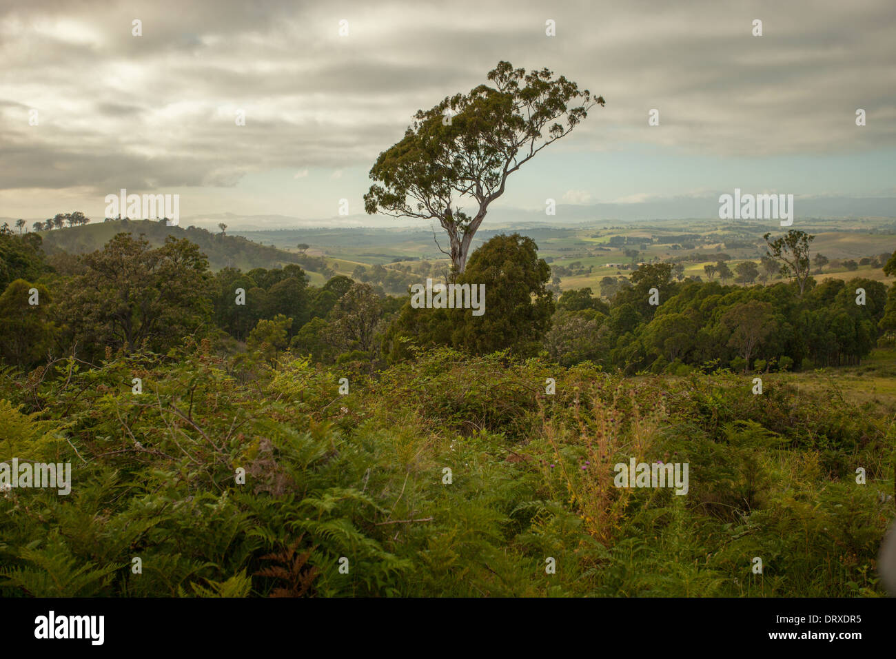 Best places to visit in australia hi-res stock photography and images ...