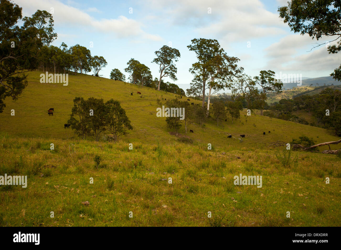 Aussie towns hi-res stock photography and images - Alamy
