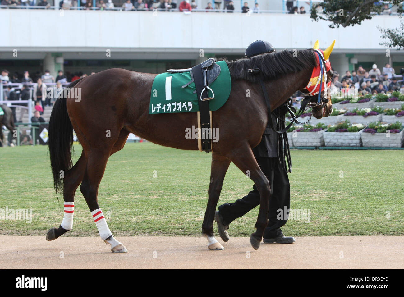Opera horse hi-res stock photography and images - Alamy