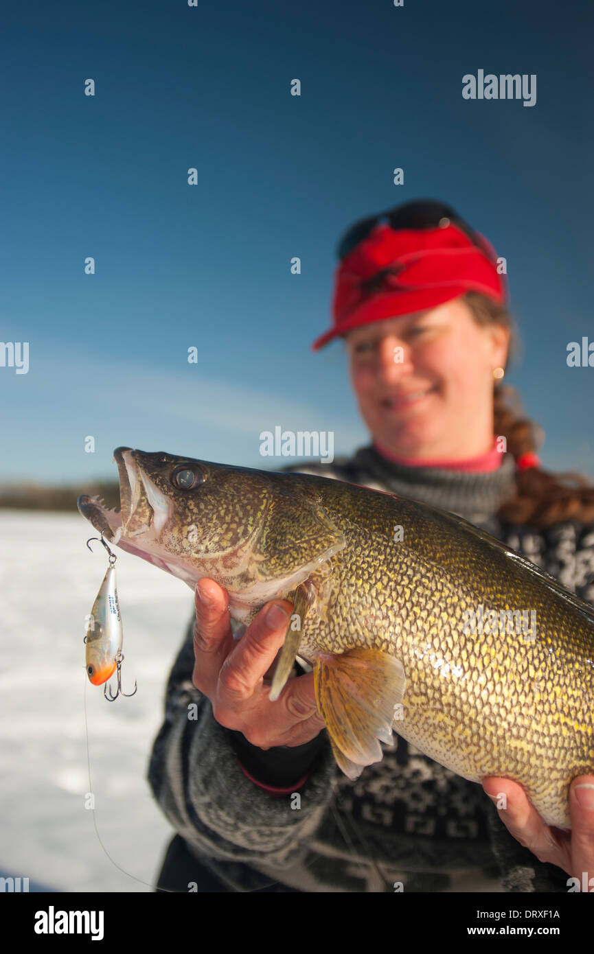Woman holds up a winter walleye she caught ice fishing Stock Photo - Alamy