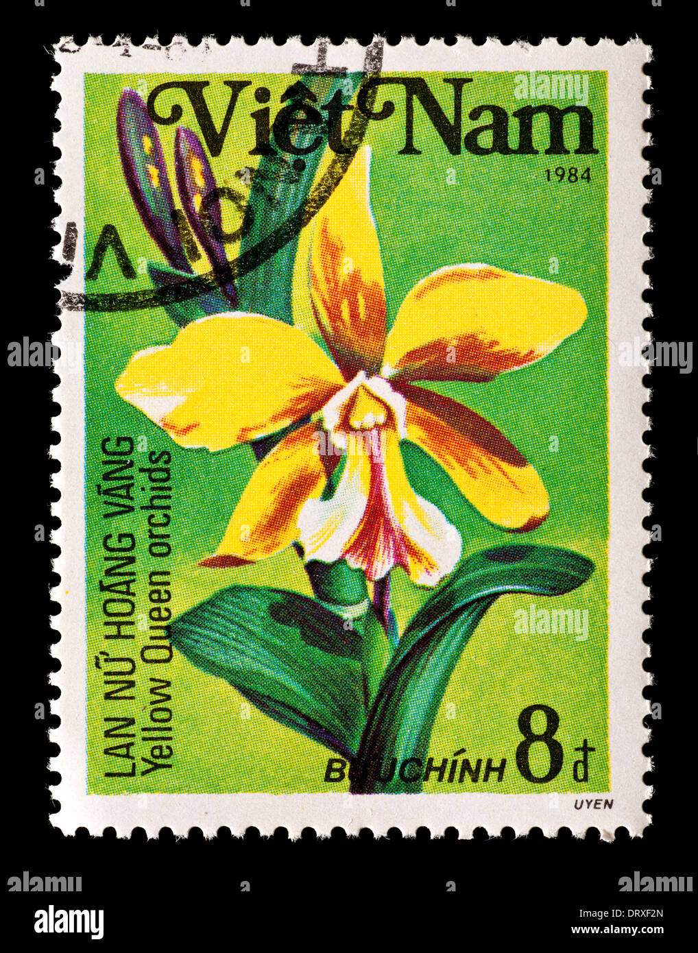 Postage stamp from Vietnam depicting a yellow queen orchid Stock Photo ...