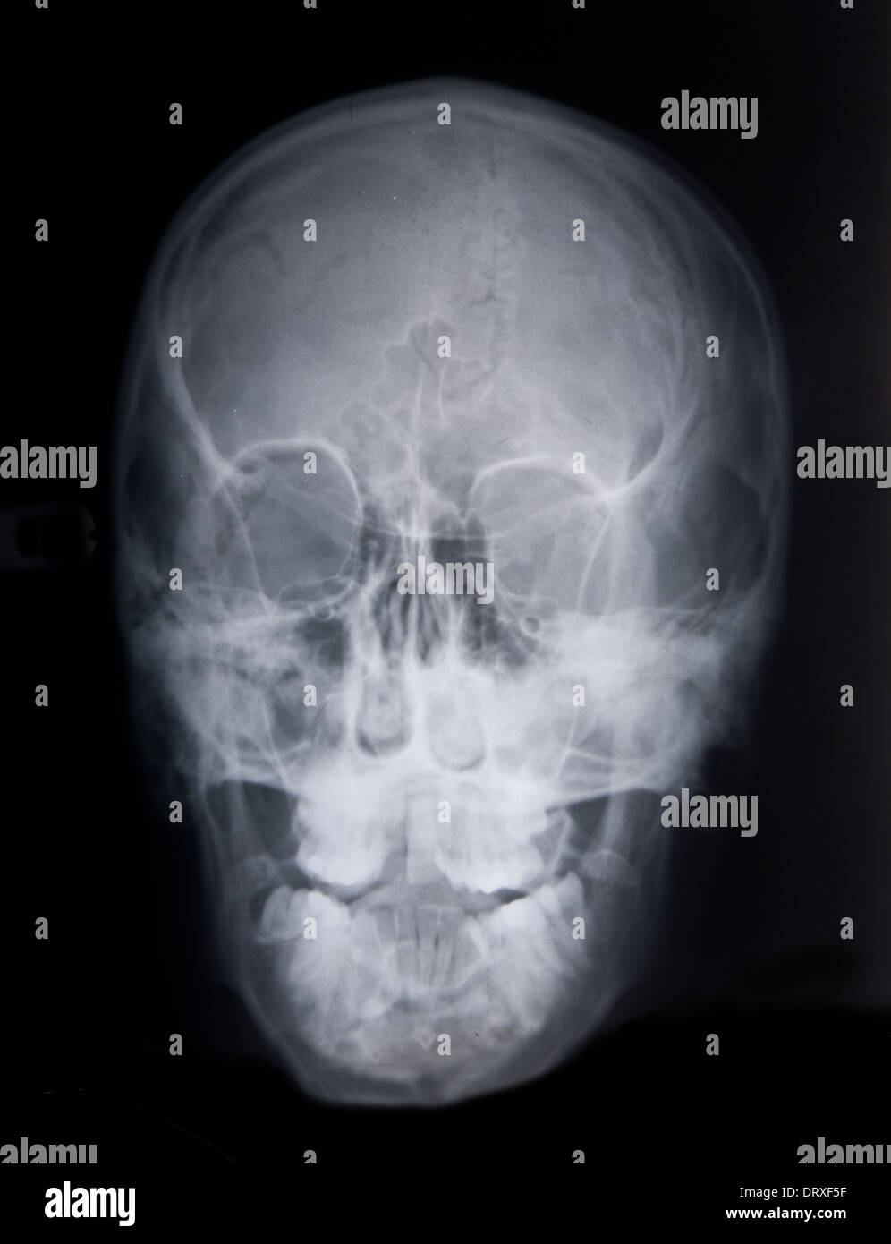 Skull and bones film hi-res stock photography and images - Alamy