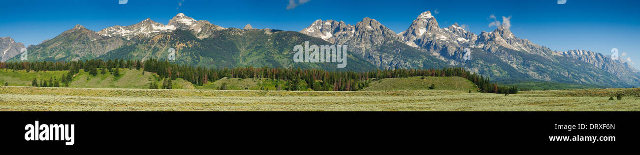 Extremely large hi-res stock photography and images - Alamy