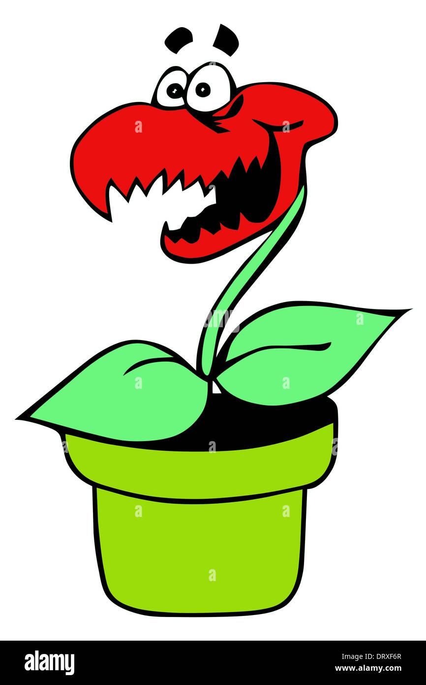 Wildlife experiment Cut Out Stock Images & Pictures - Alamy