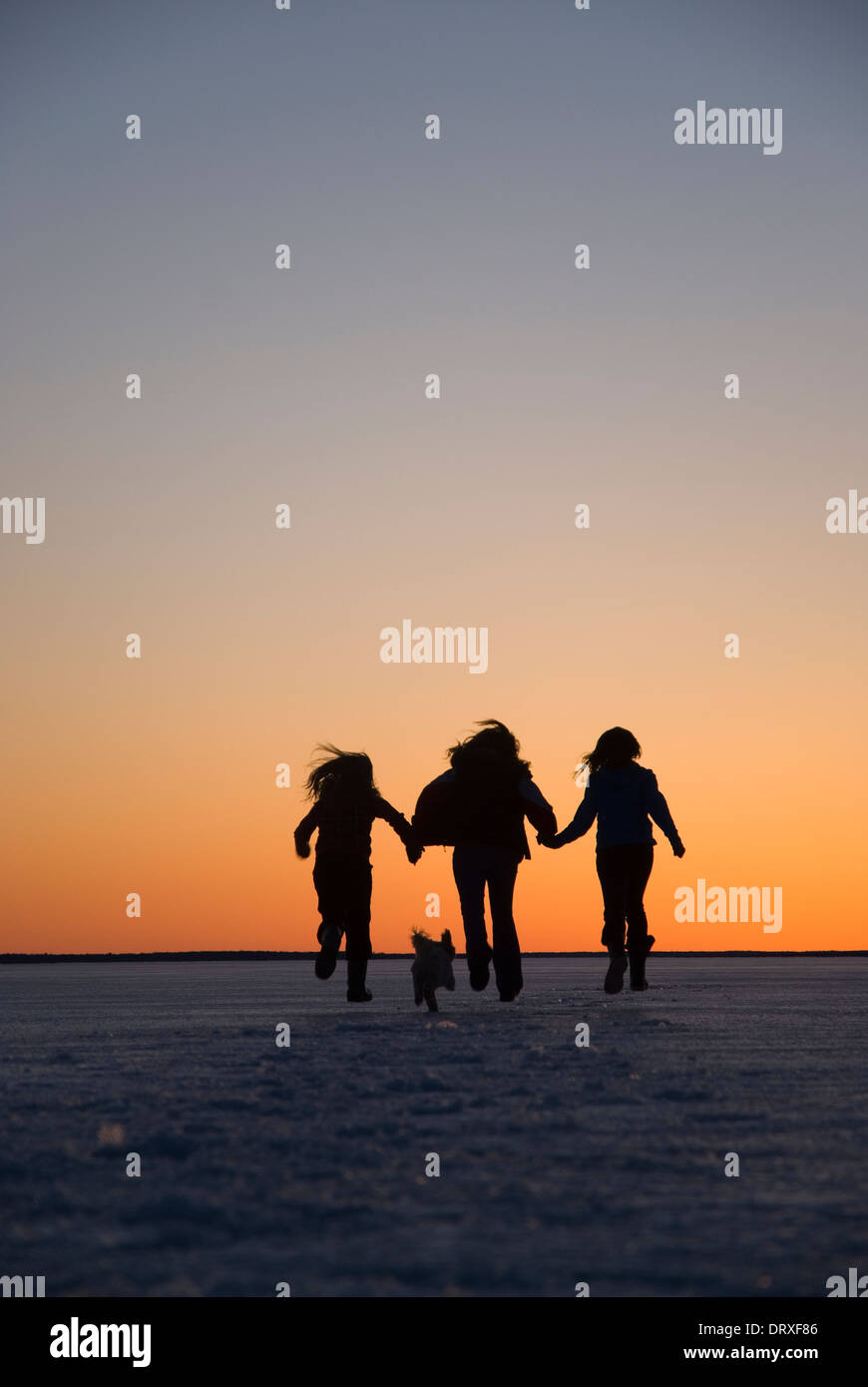 A mother, kids and their dog run along the frozen lake at sunset Stock ...
