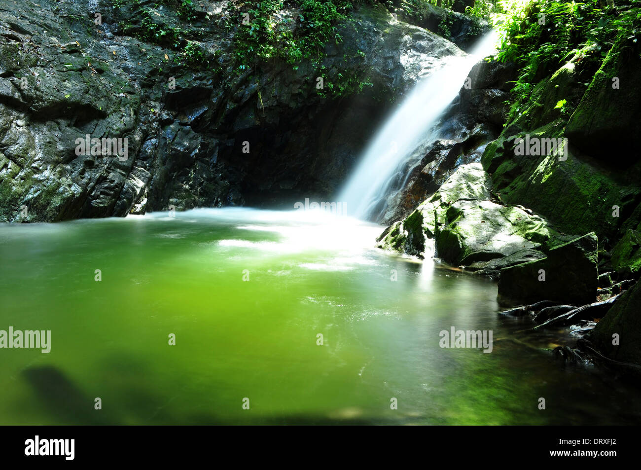 Malaysia waterfall hi-res stock photography and images - Alamy