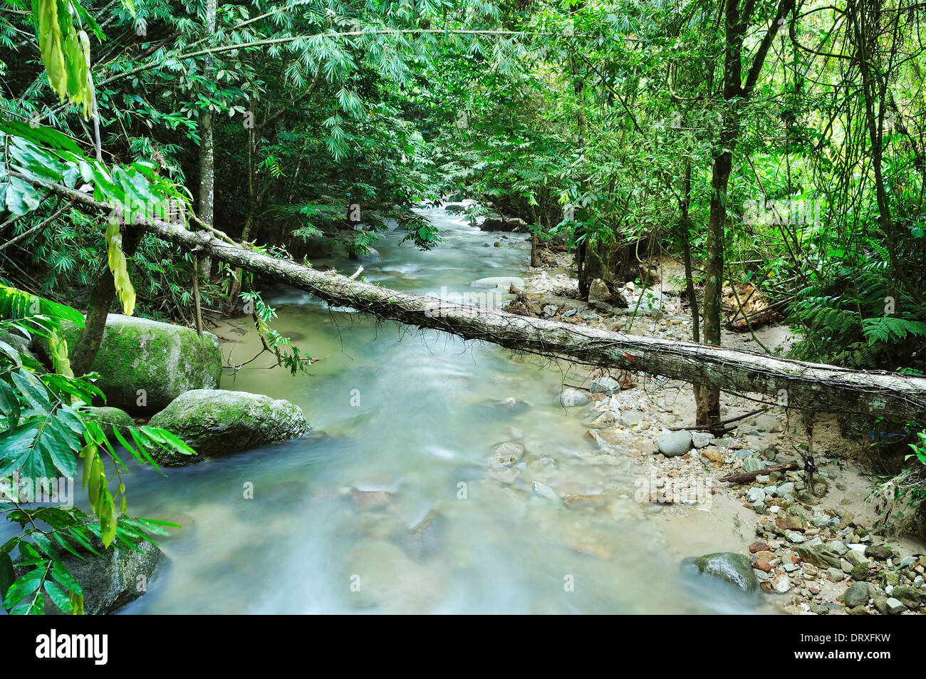 Tua River in Malaysia Stock Photo - Alamy