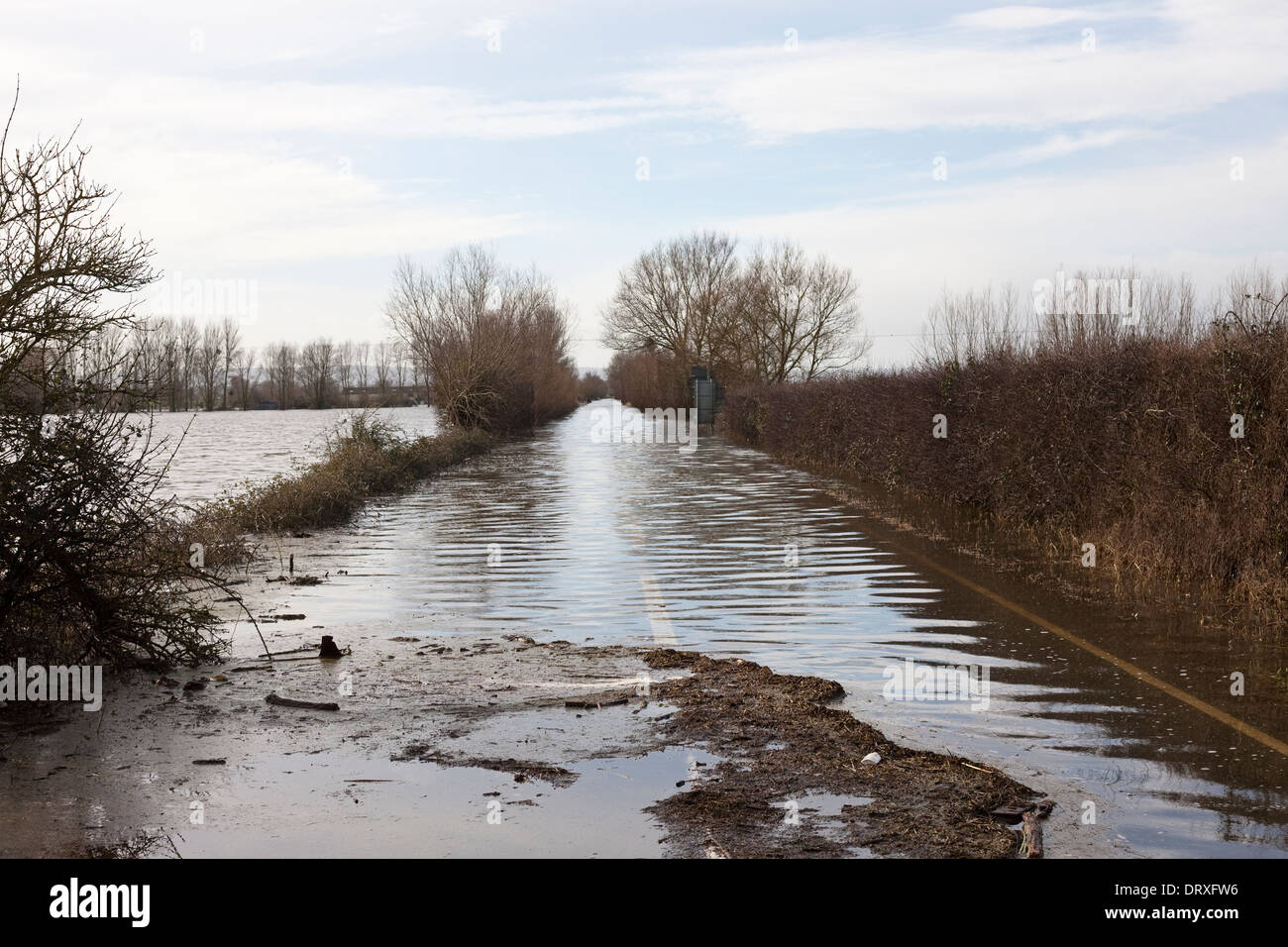 Lyng somerset hi-res stock photography and images - Alamy