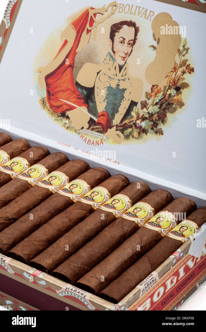 Bolivar Royal Coronas Cuban Cigar Stock Photo - Alamy