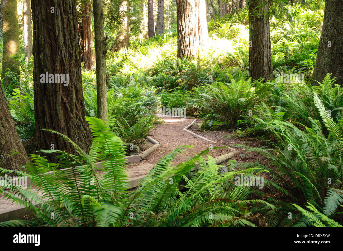 Arcata california hi-res stock photography and images - Alamy