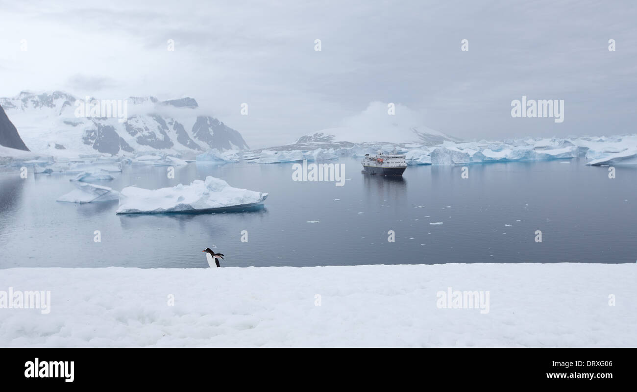Antarctica penguin ship hi-res stock photography and images - Alamy
