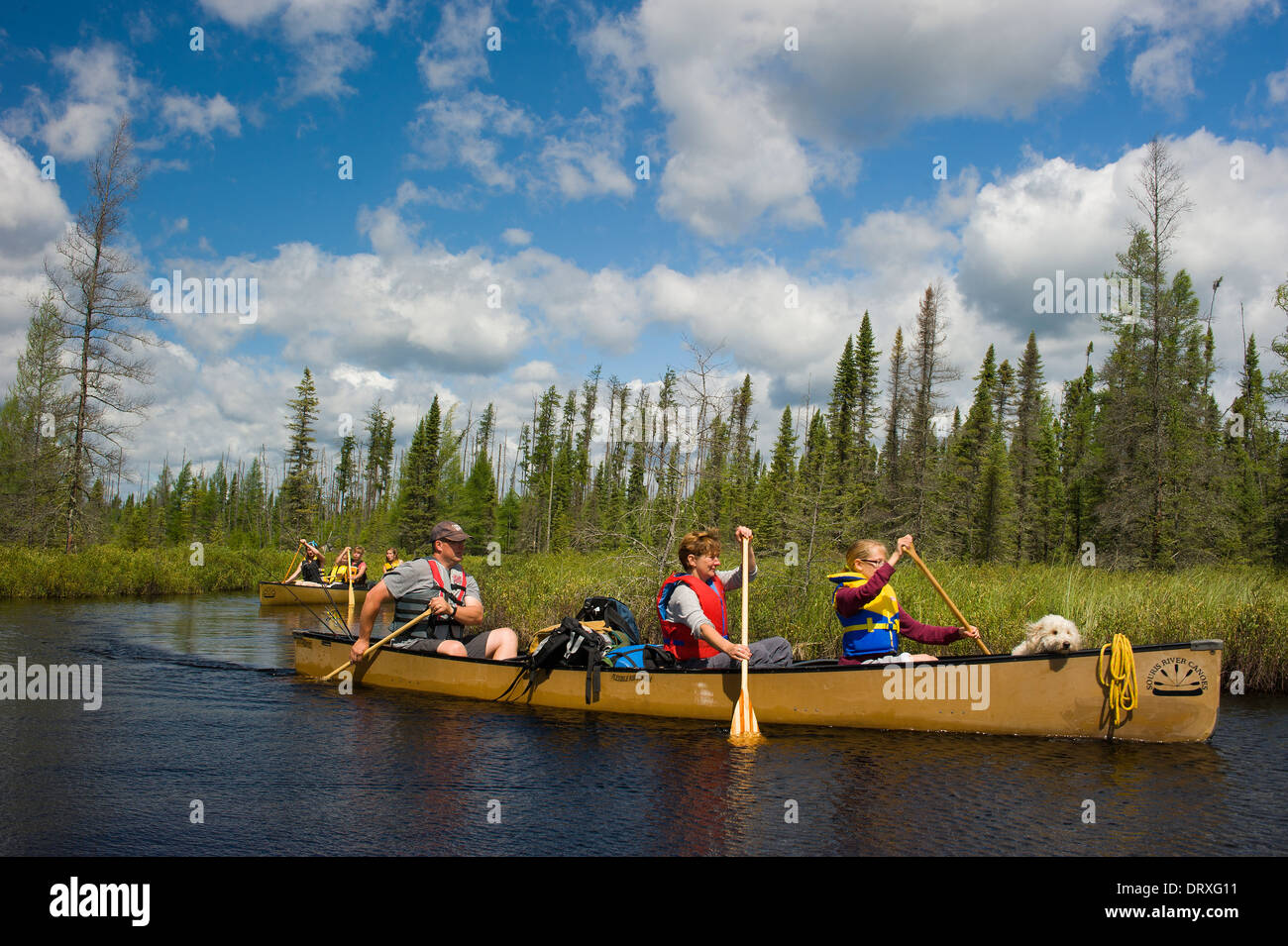 People paddling canoe hi-res stock photography and images - Alamy