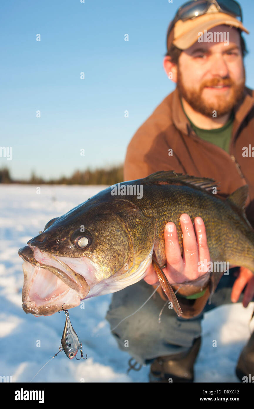 Walleye ice fishing hi-res stock photography and images - Alamy