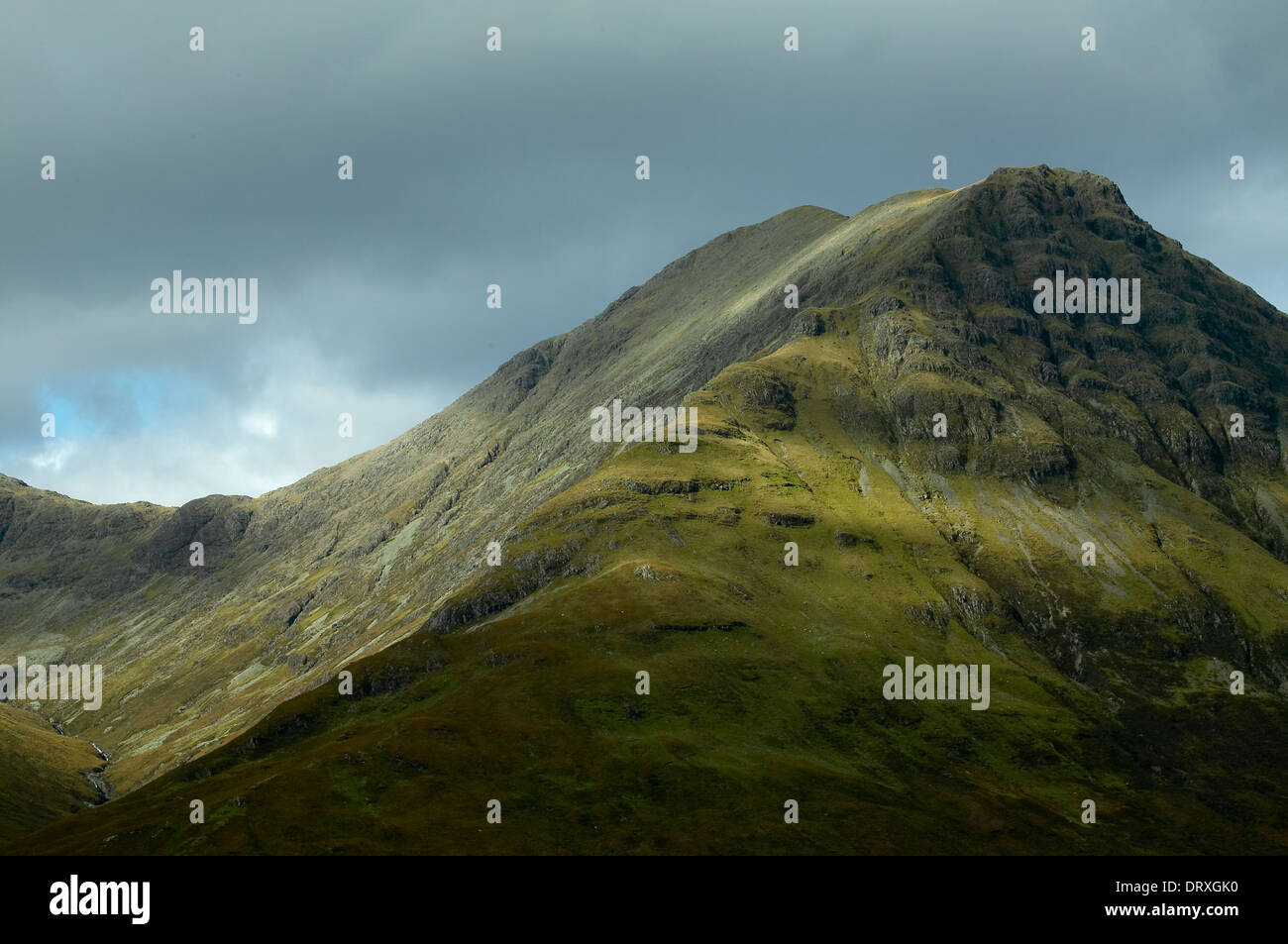 Gray flank hi-res stock photography and images - Alamy