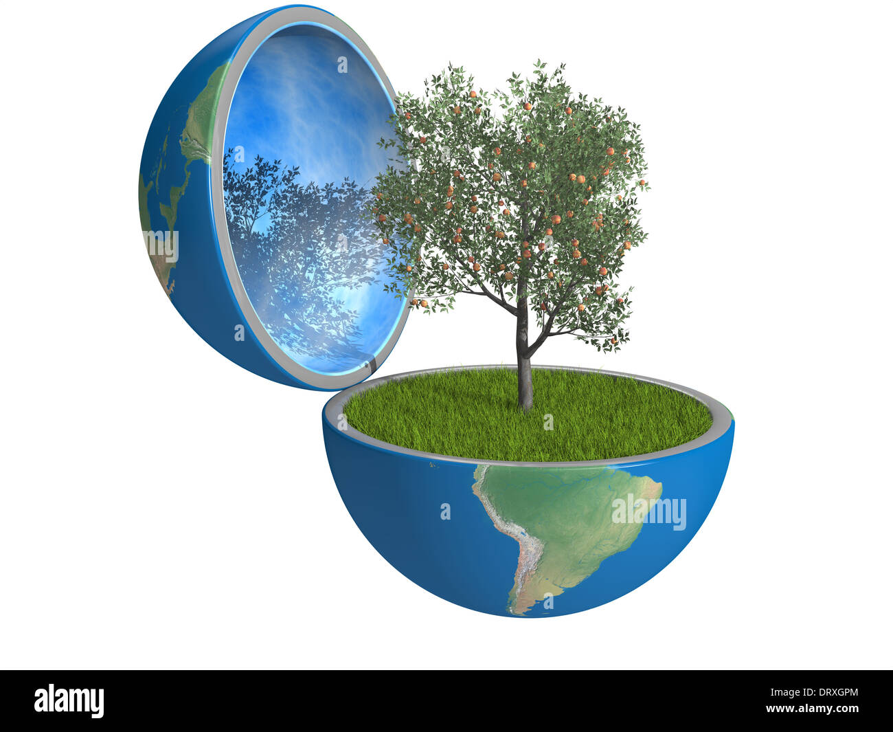 Fruit tree growing inside opened planet Earth, isolated on white ...