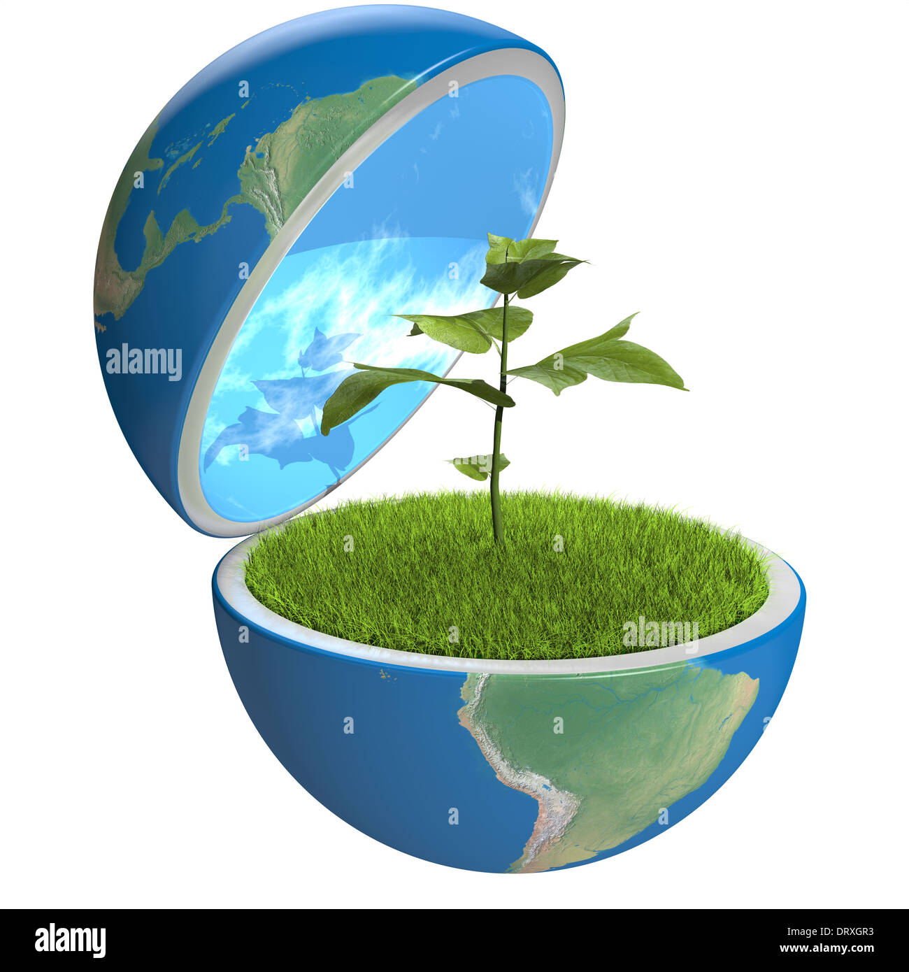Small plant growing inside opened planet Earth, isolated on white ...