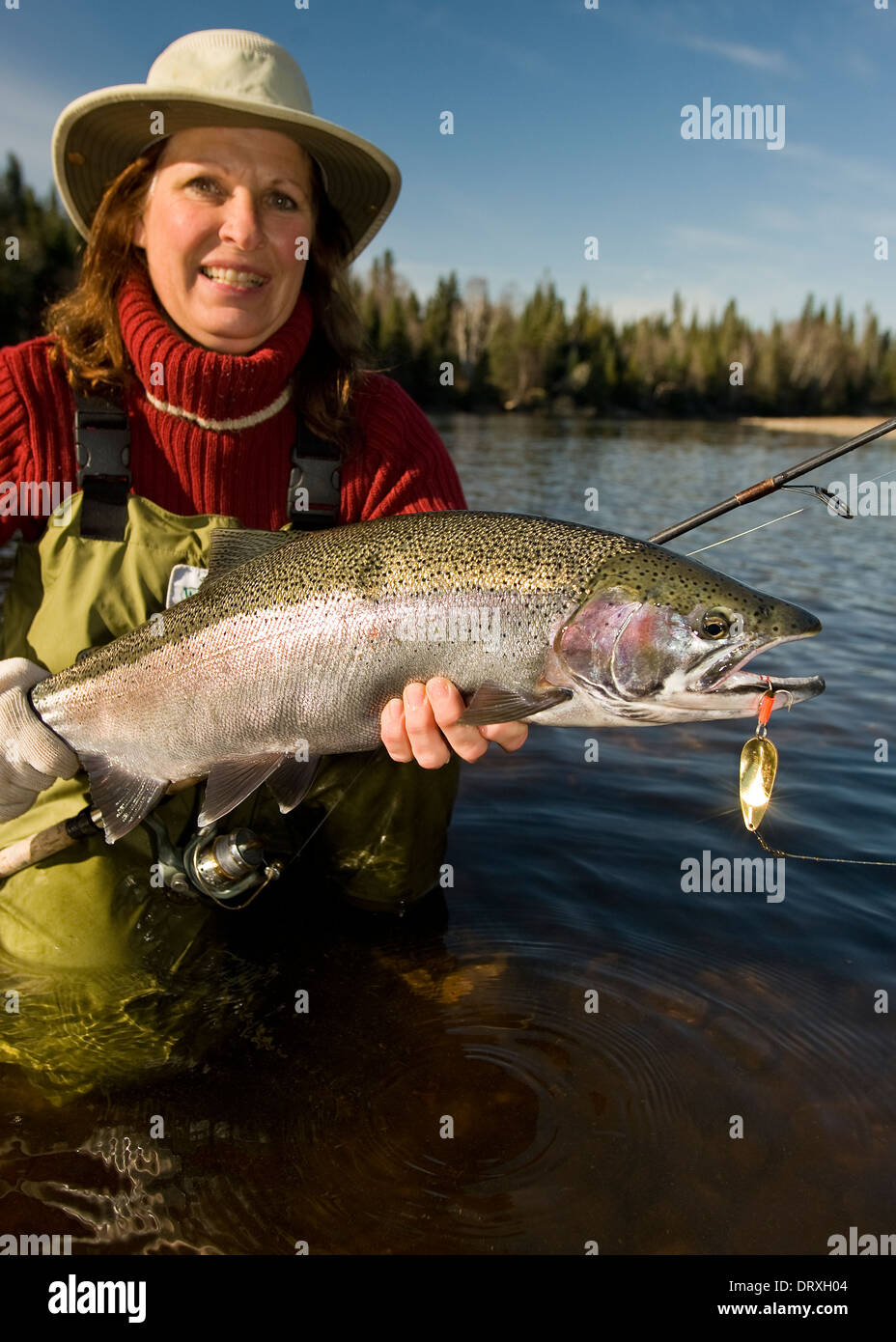 Woman angler holding a large steelhead caught in a river in Northern ...
