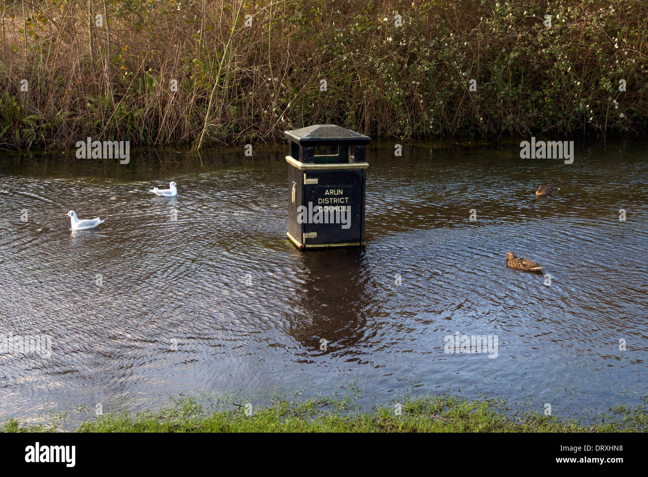 Arun flood flooded flooding hi-res stock photography and images - Alamy