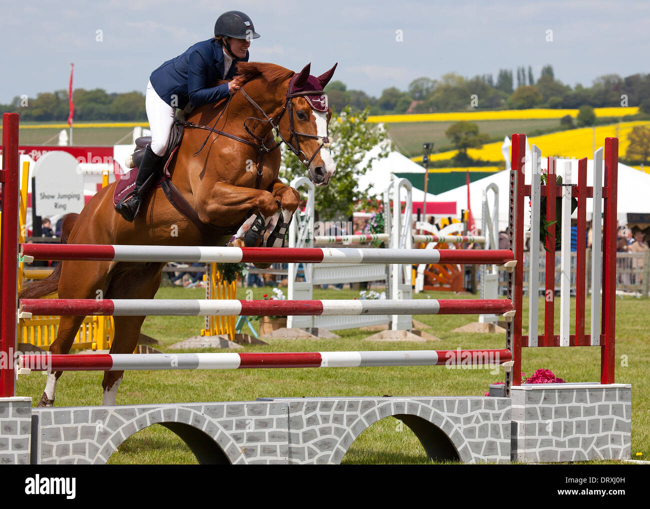 Showjumping hi-res stock photography and images - Alamy