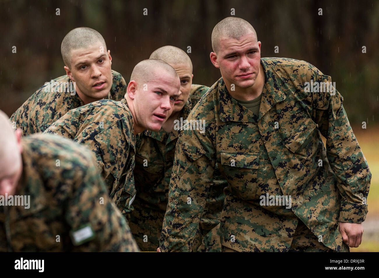 Lachrymator agent hi-res stock photography and images - Alamy