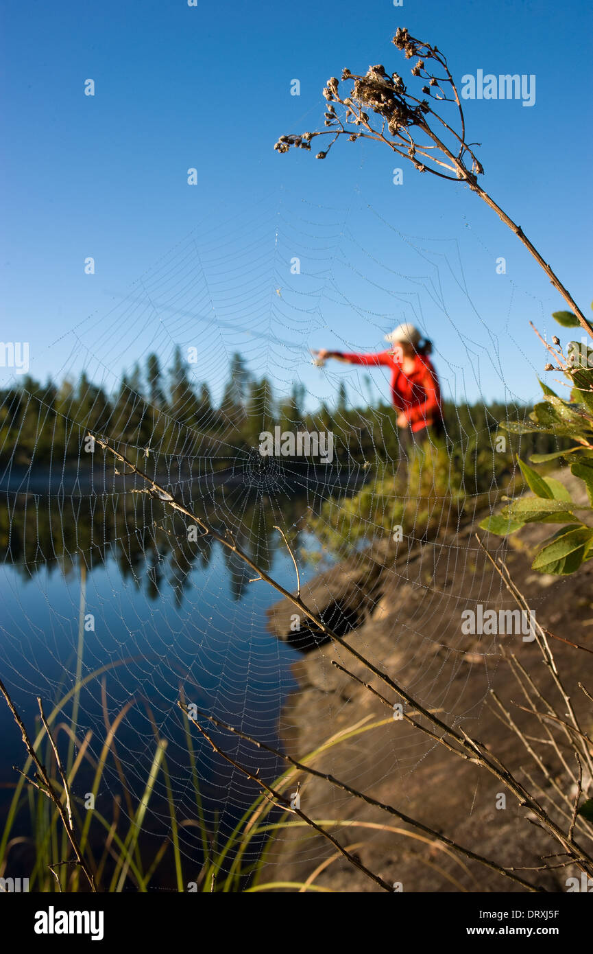A spiderweb on the lakeshore Stock Photo - Alamy