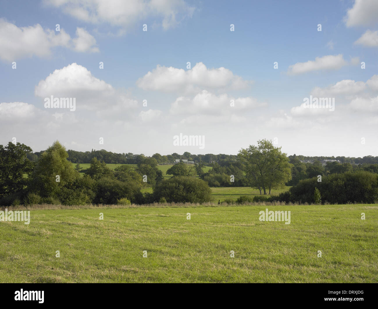 View of grass fields Stock Photo - Alamy