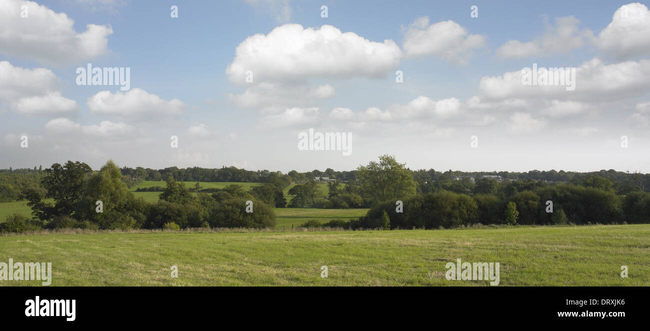 Hacking bridleway hi-res stock photography and images - Alamy