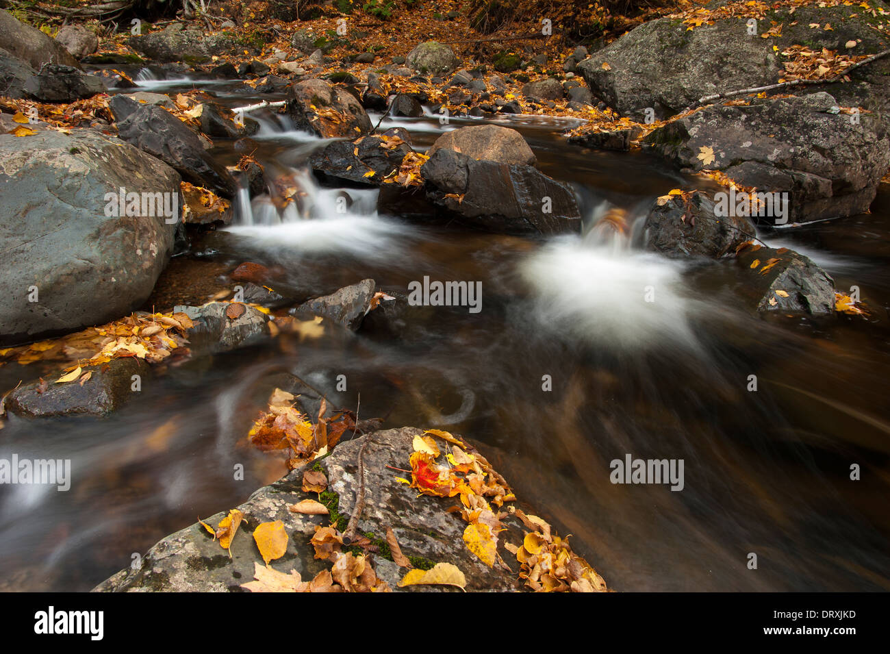 A forest stream waterfall Stock Photo - Alamy