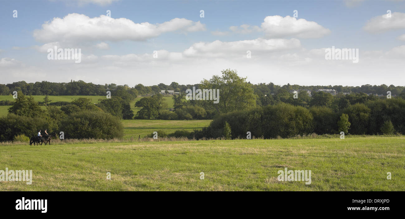 Horse riding in the countryside Stock Photo - Alamy