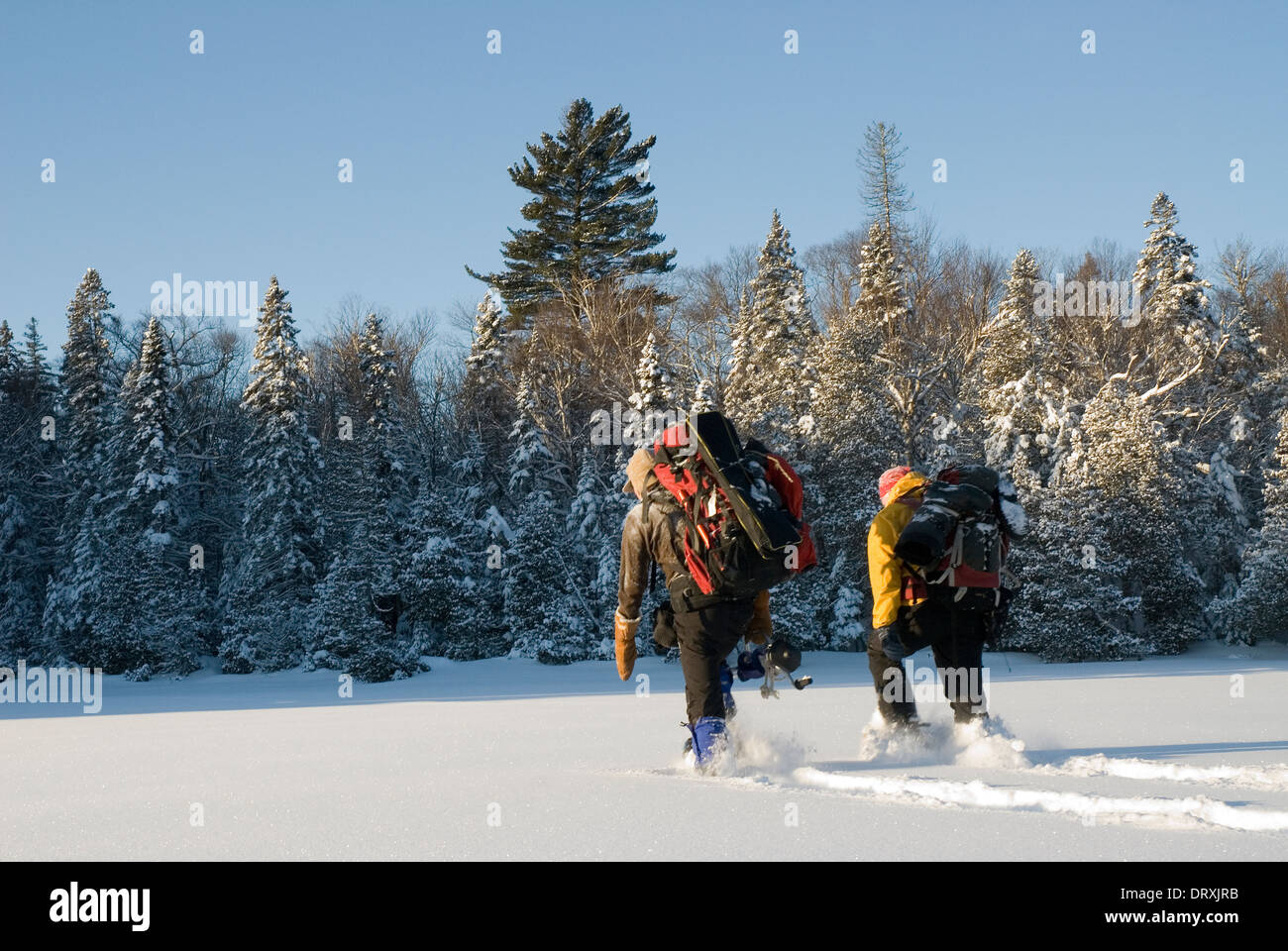 Man walking across frozen lake hi-res stock photography and images - Alamy