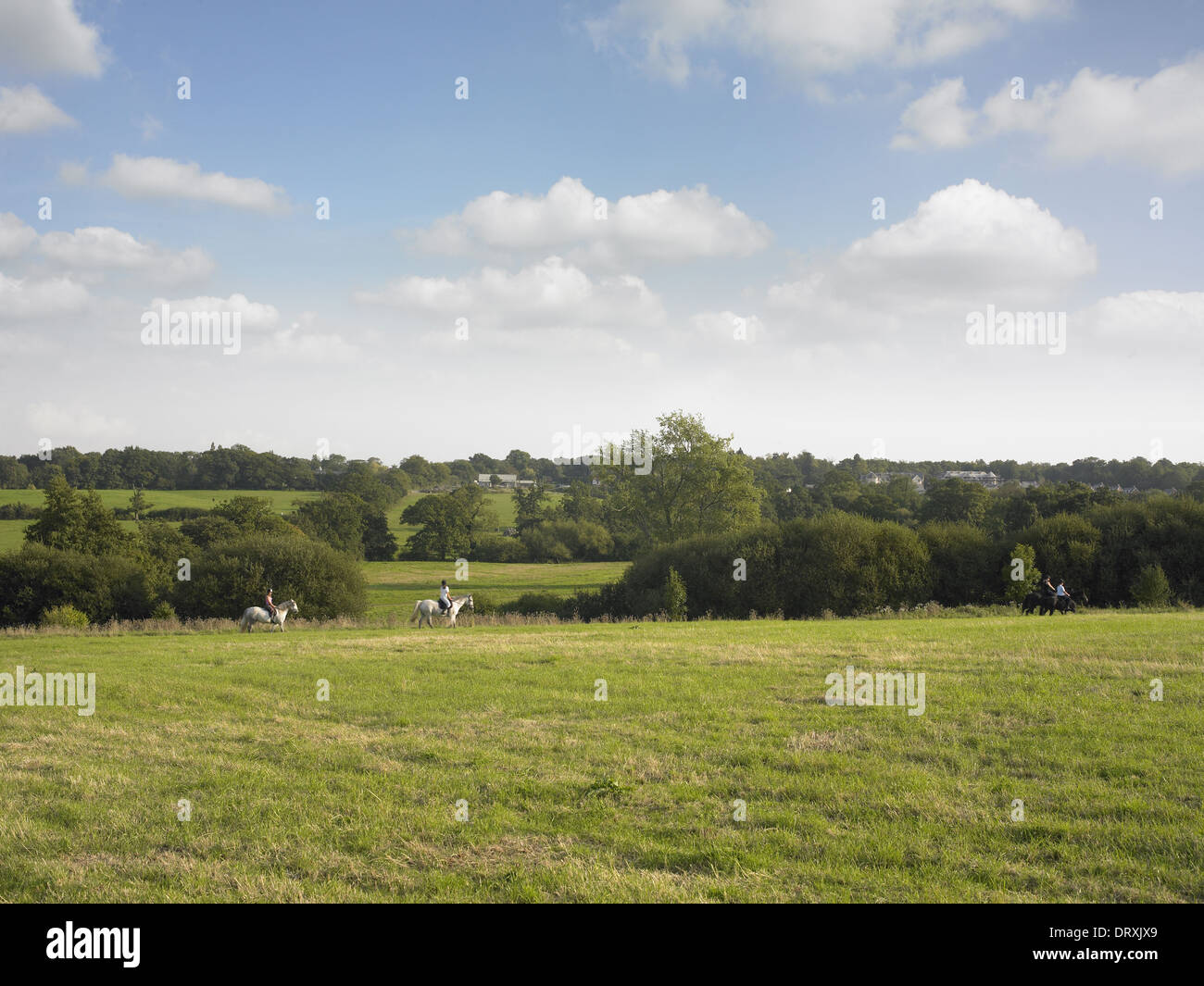 Horse riding in the countryside Stock Photo - Alamy