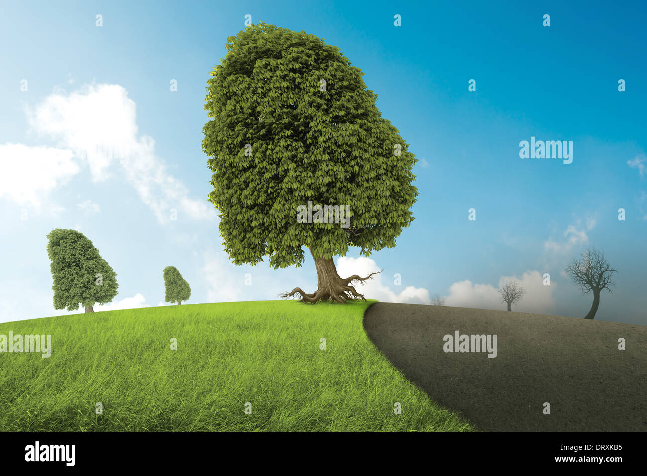 Trees and meadow cancelled from the concrete of the urbanization Stock ...