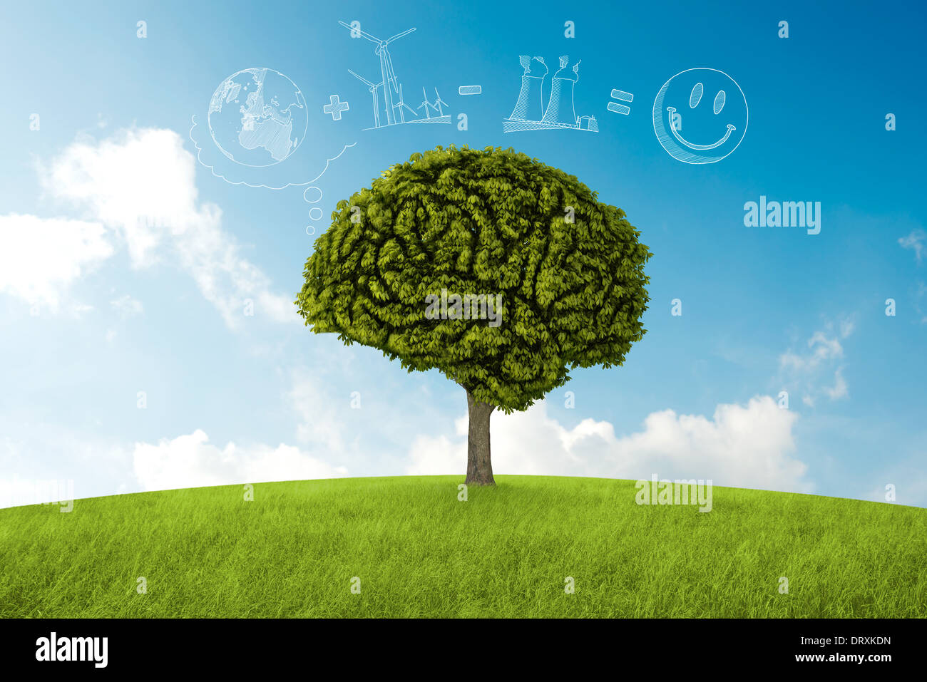 Green brain tree hi-res stock photography and images - Alamy