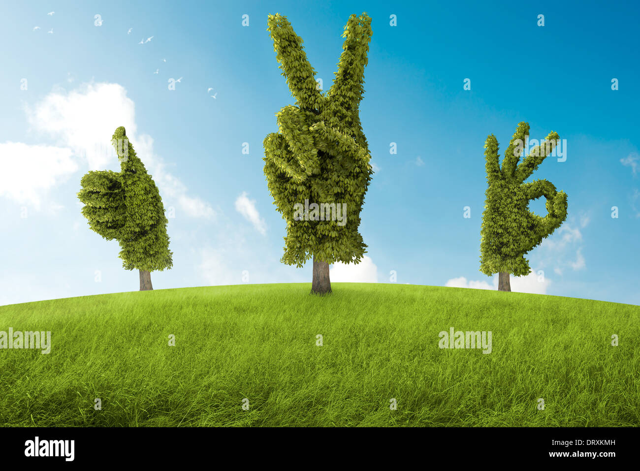Trees in the shape of hand that ago a positive gesture Stock Photo - Alamy