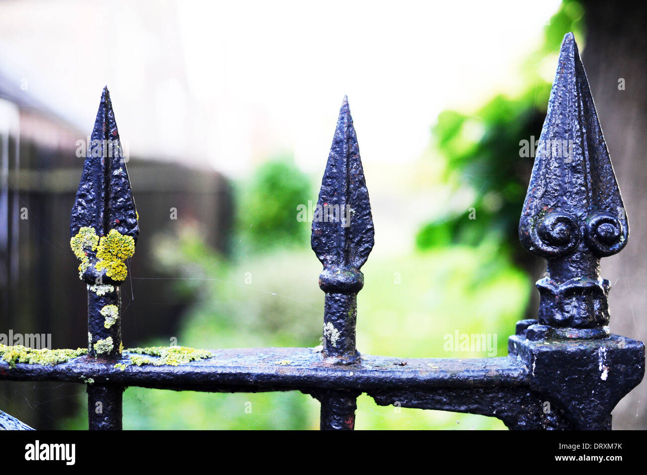 Spiked iron railings Stock Photo - Alamy