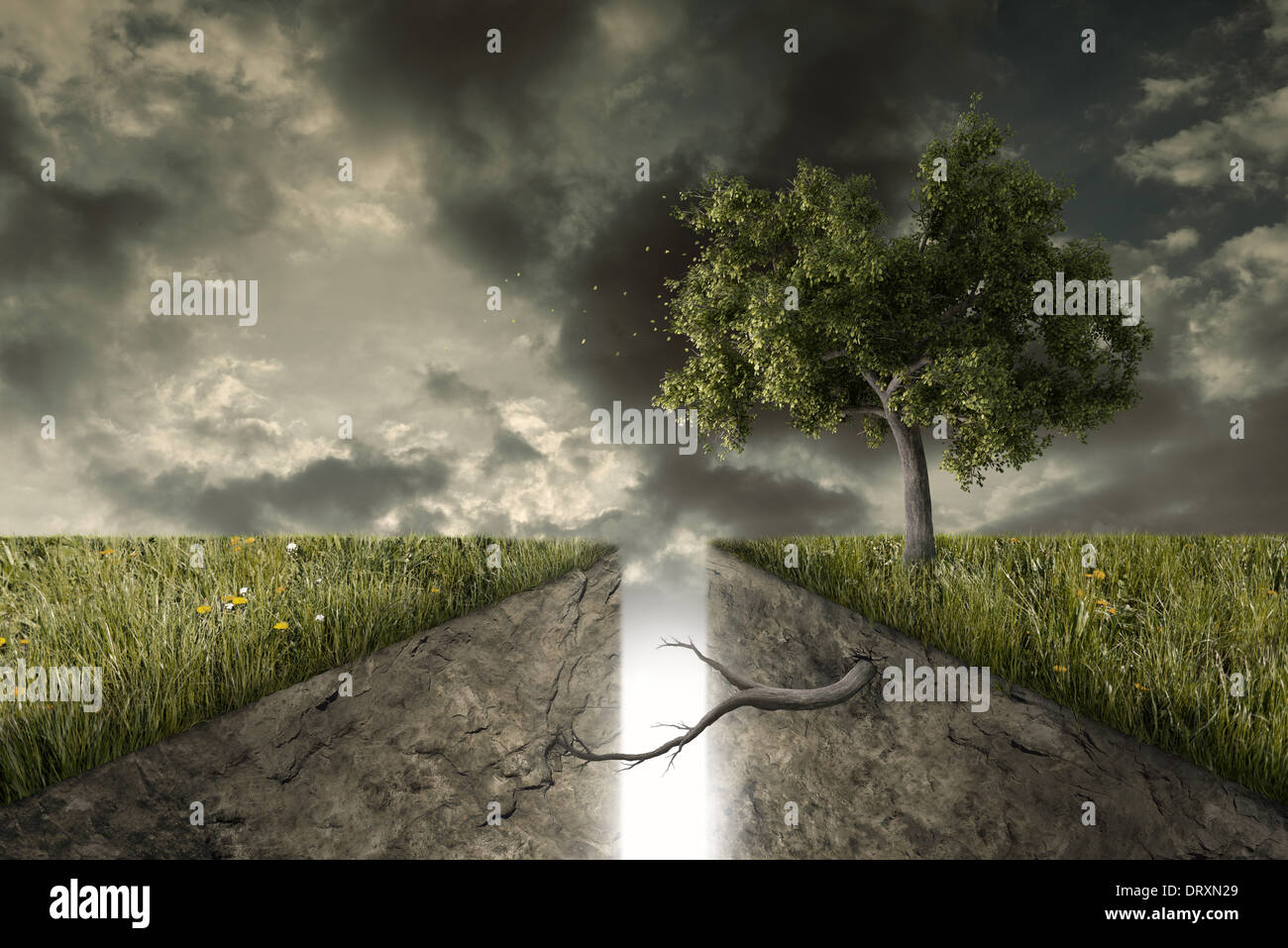 A deep track divides the earth, a tree reunites them Stock Photo - Alamy