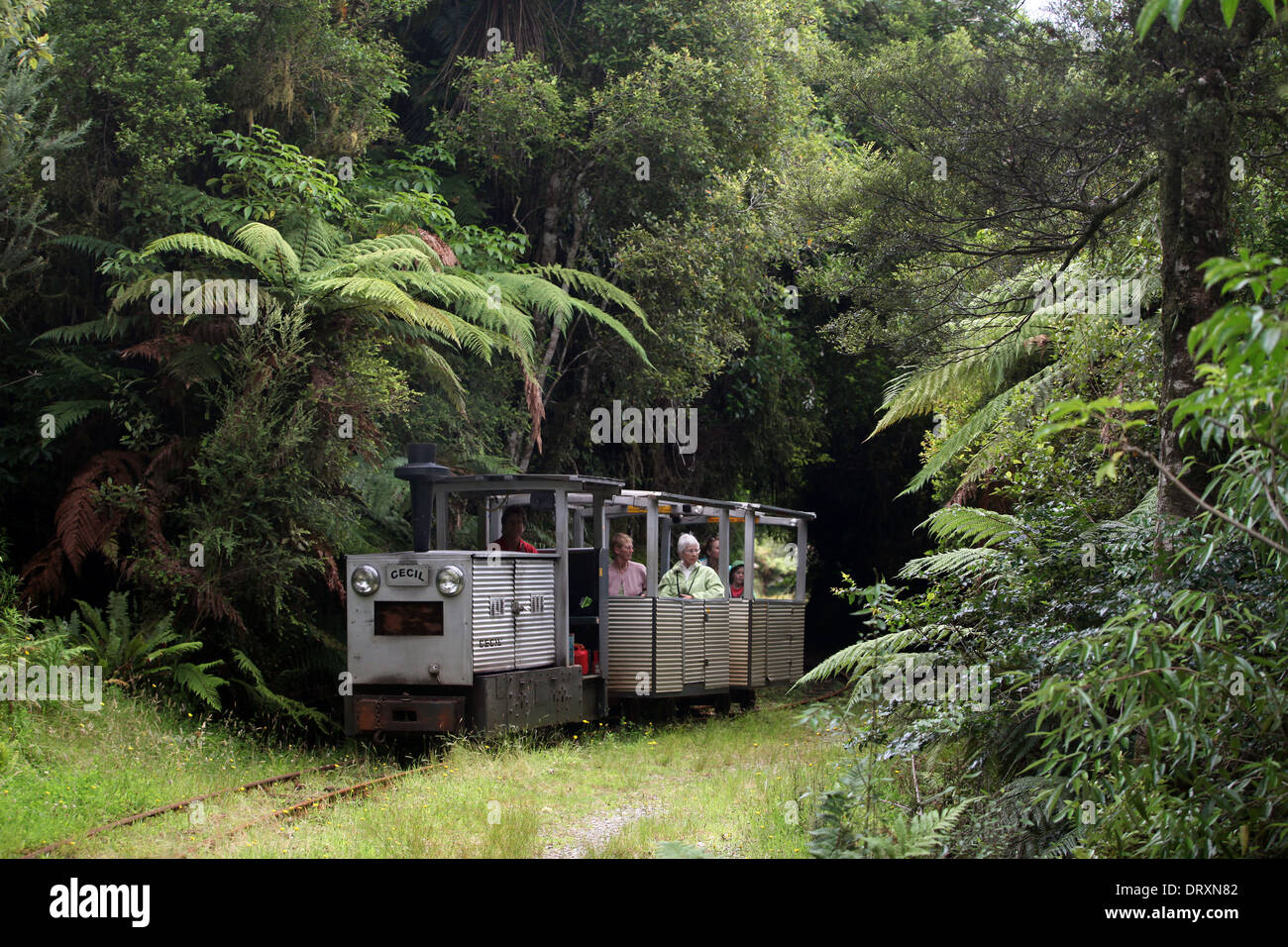 Underworld Adventures' rainforest train in Charleston, New Zealand ...