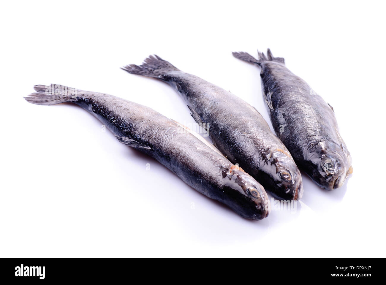 Dead trout isolated on white, prepared for cooking Stock Photo - Alamy