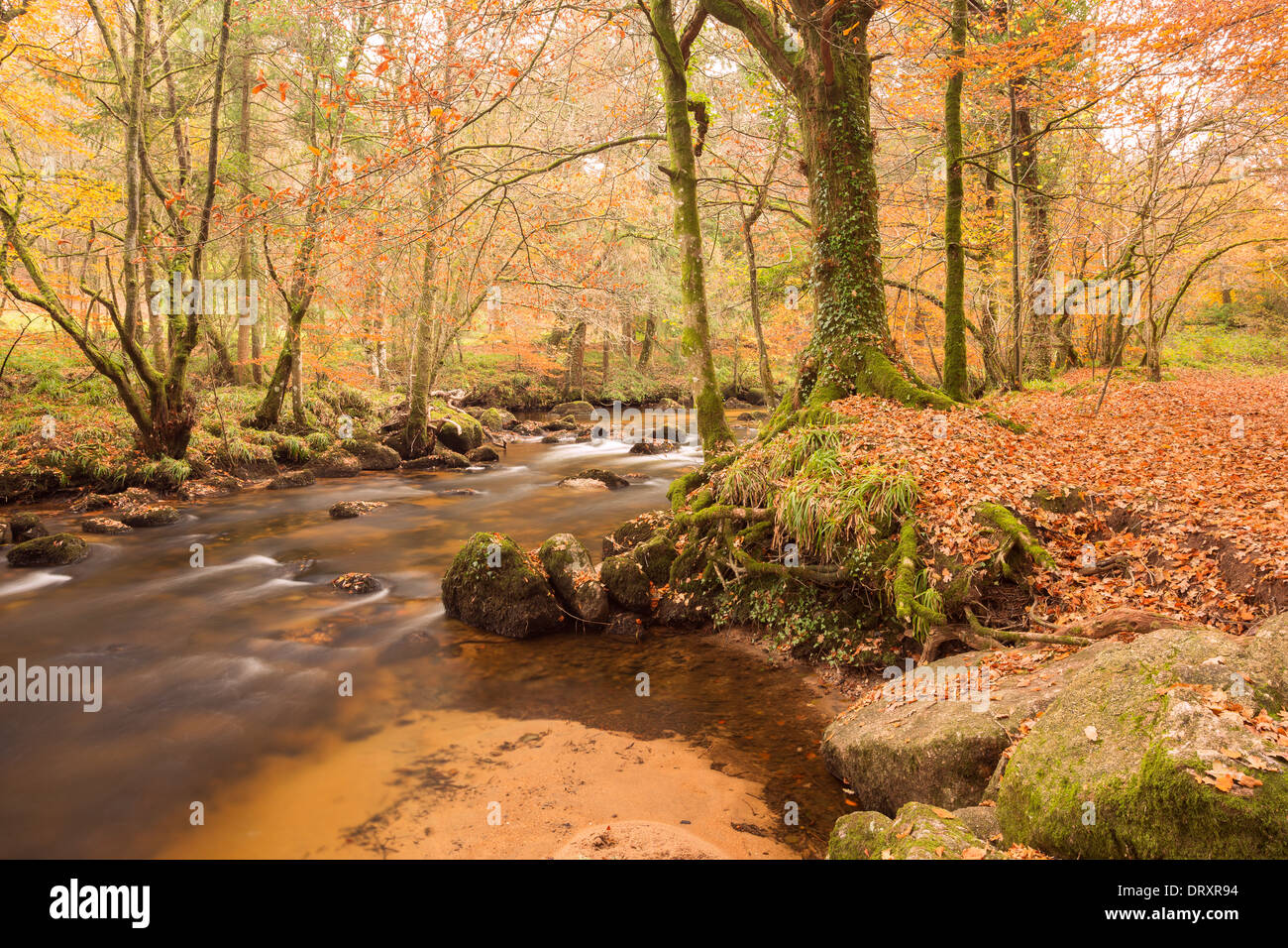 Devon uk autumn hi-res stock photography and images - Alamy