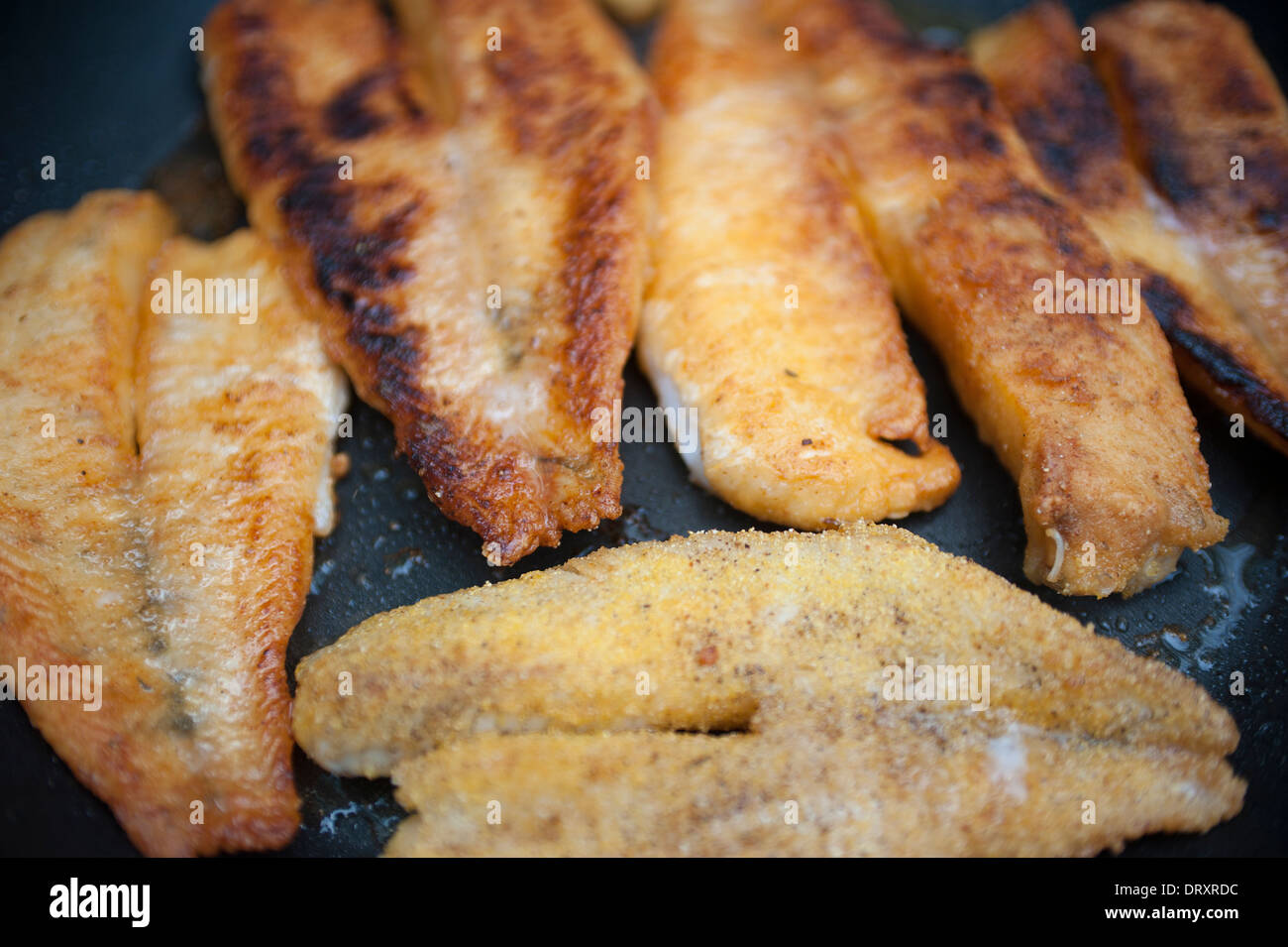 Fried fish fillets Stock Photo - Alamy