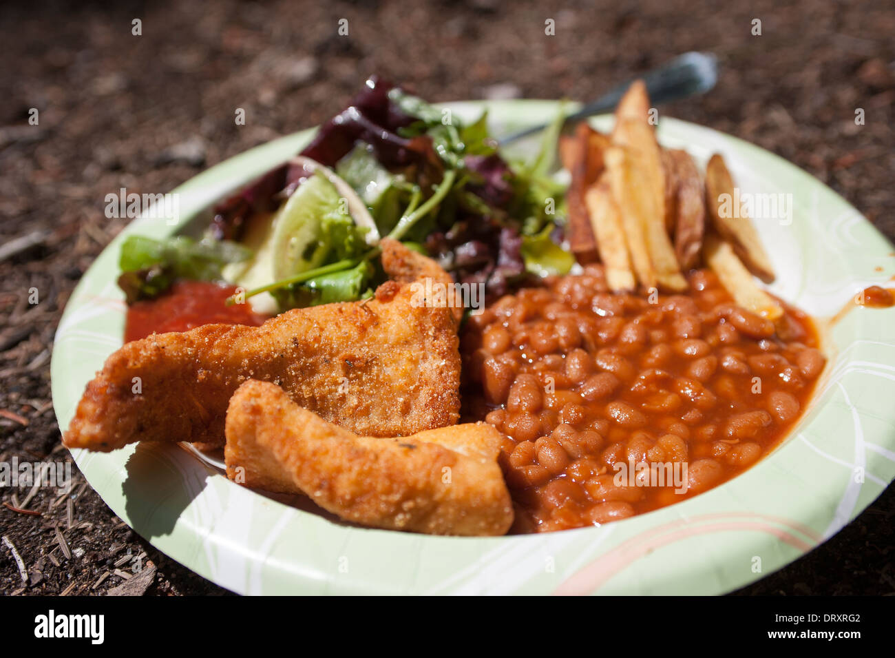 A plate full of camp cooked fish and beans Stock Photo - Alamy