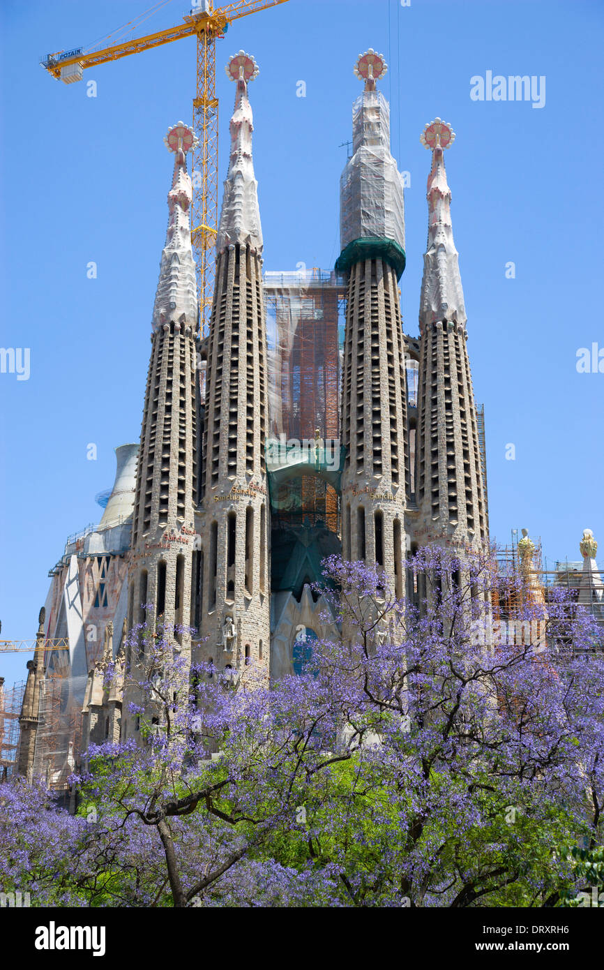 Spain, Catalonia, Barcelona, The spires of the basilica church of ...