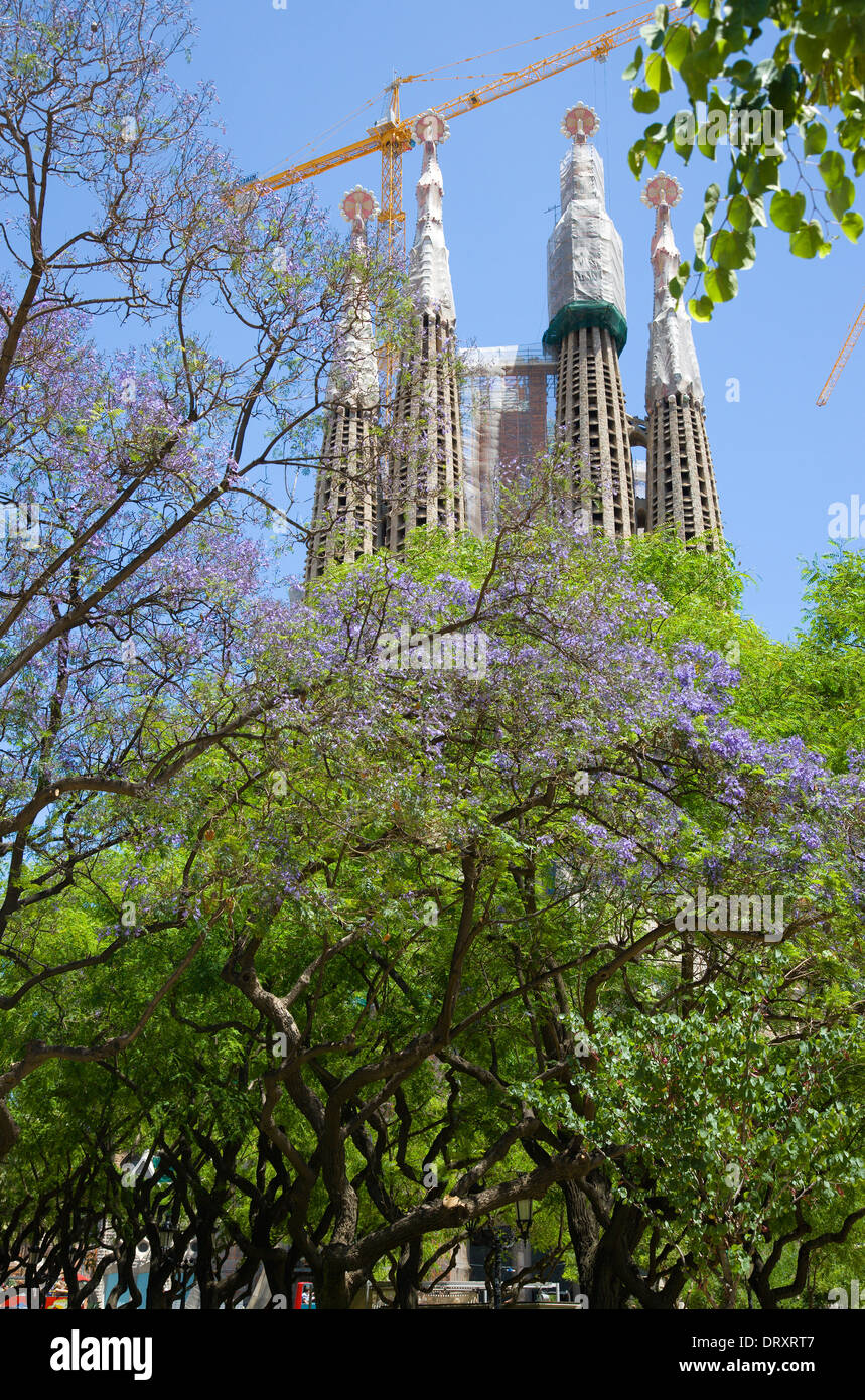 Spain, Catalonia, Barcelona, The spires of the basilica church of ...