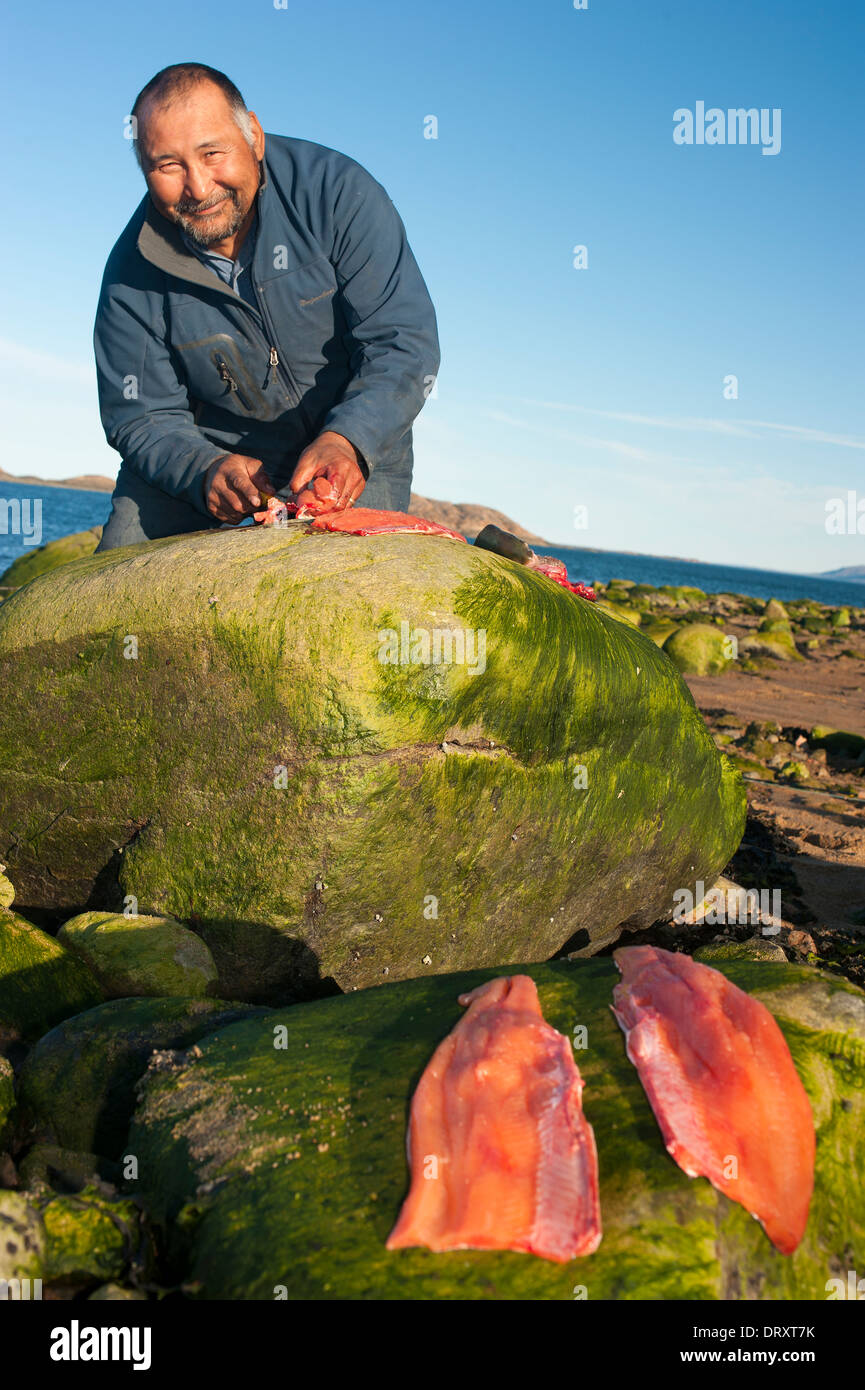 Arctic char canada hi-res stock photography and images - Alamy