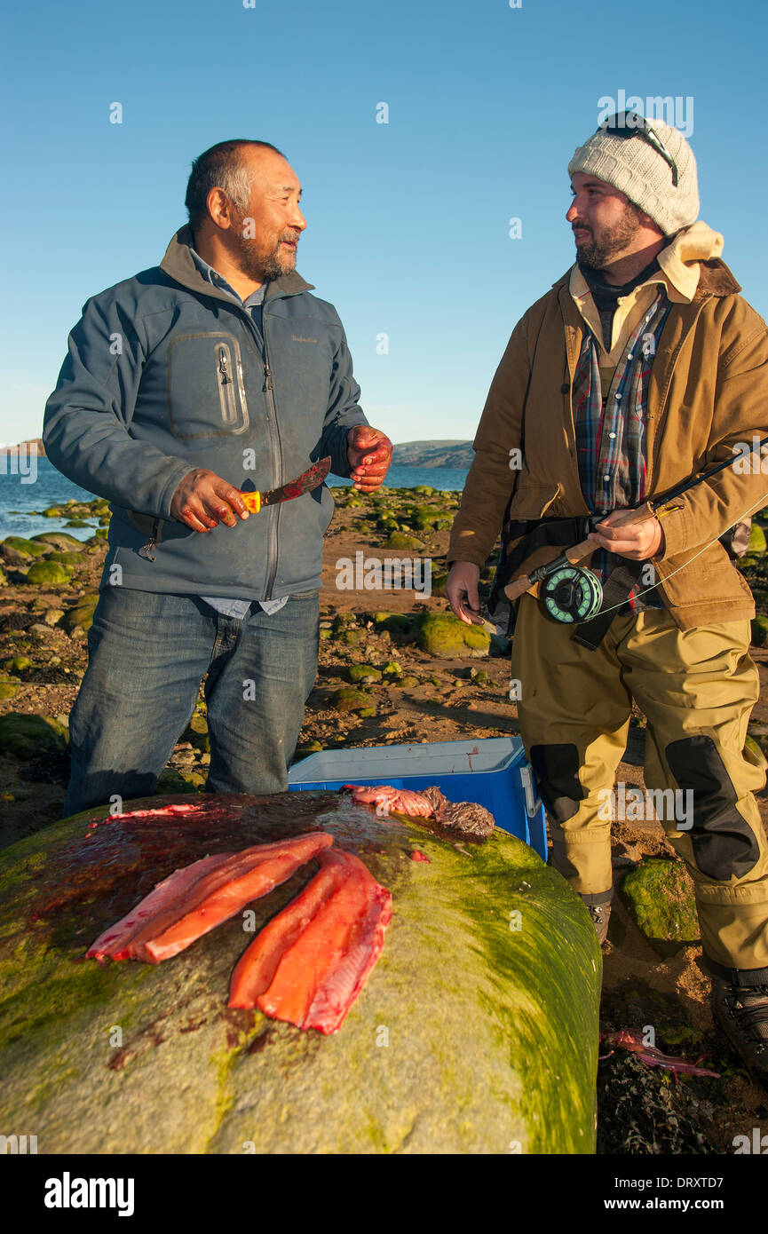 An Inuit fishing guide fillets the fish caught fly fishing in the ...