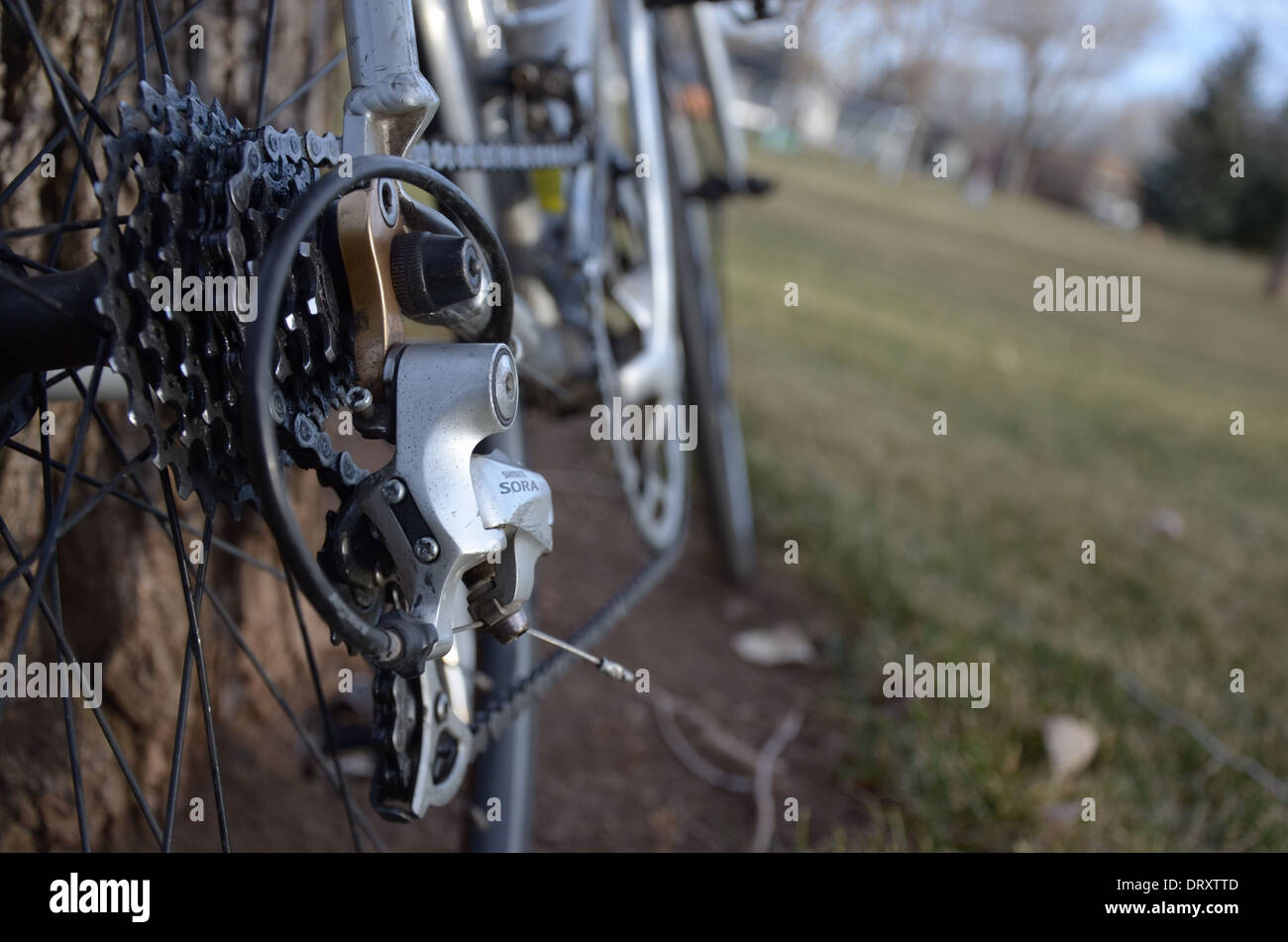 Bicycle leaning against tree Stock Photo - Alamy